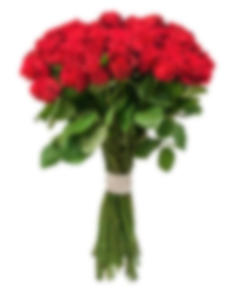 Bouquet 25 red roses - Bestattungsinstitut Meyerhofer